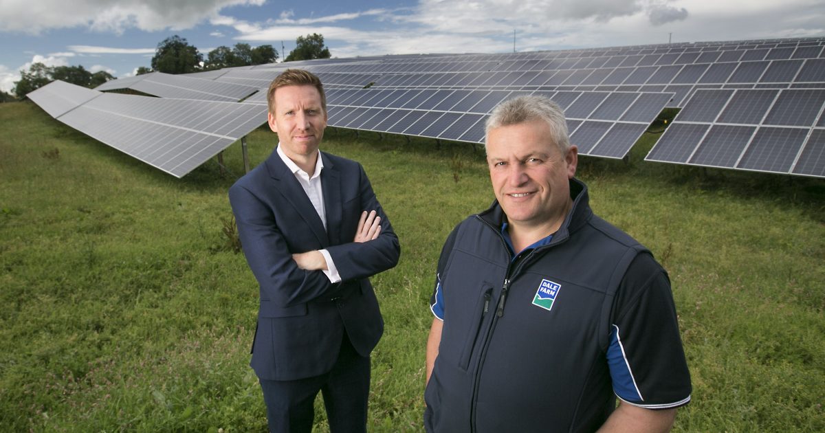 Green Light For Green Energy | Dale Farm