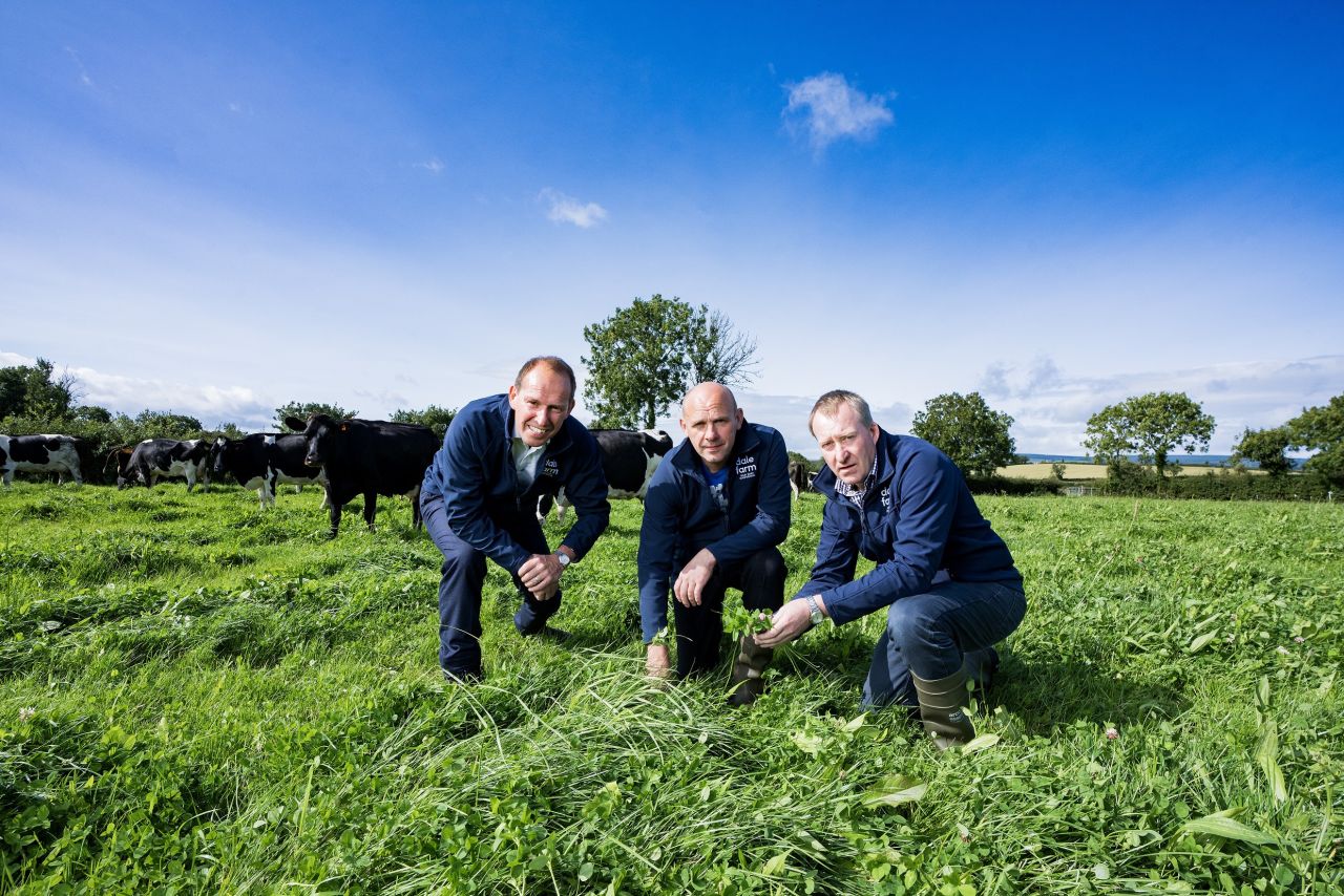 A Farmer-Owned Dairy Cooperative | Dale Farm