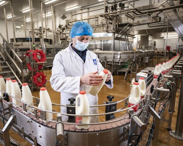 Initiatives and Schemes | Dale Farm