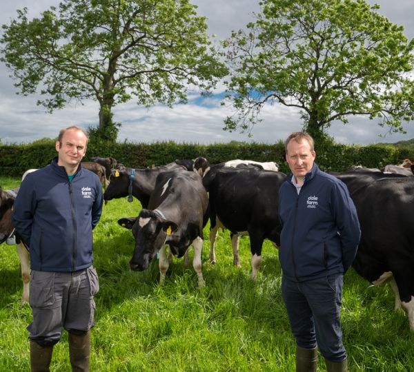 Our Farming Cooperative | Dale Farm